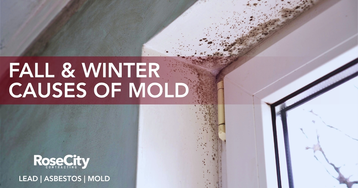 Fall & Winter Mold: Why Condensation Causes Mold Growth (and How to ...